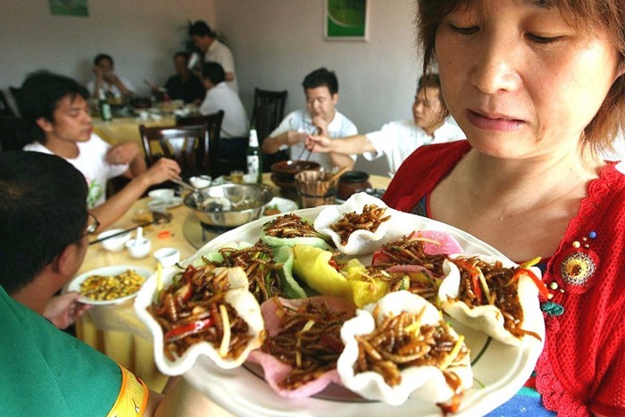 Insects as Food | Amusing Planet